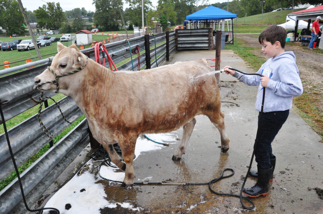The fun carries on: Barlow Fair continues | News, Sports, Jobs ...